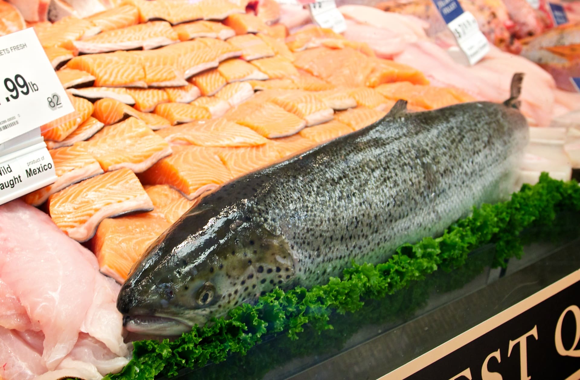 How to Grill Fish – Food Channel