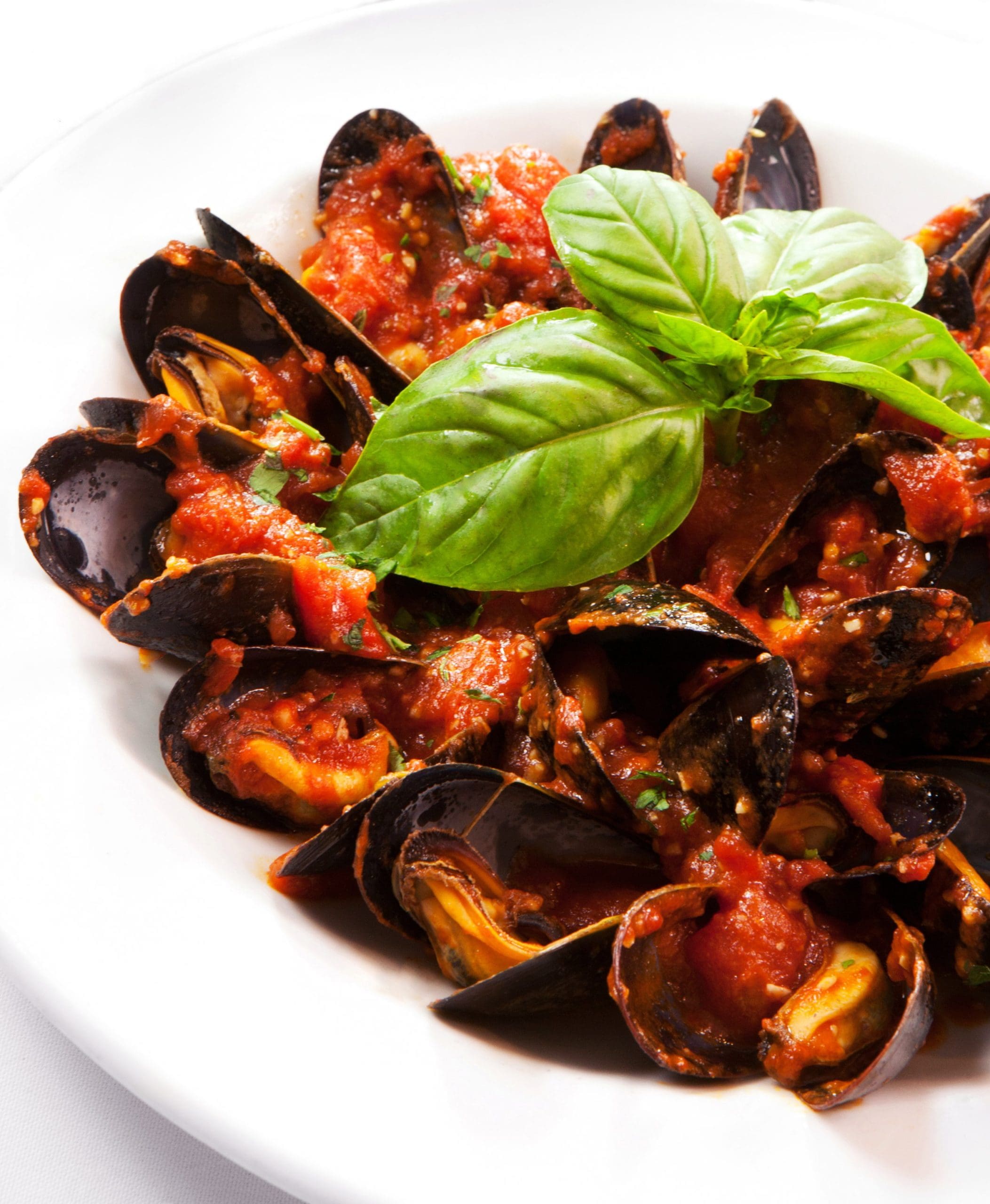 Frank's Clams Posillipo – Food Channel